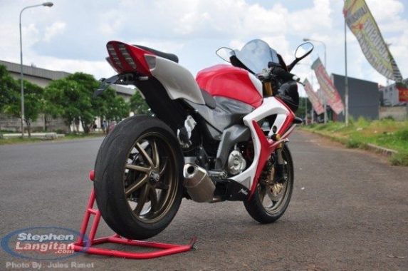 Modified Rouser 220 : The love child of Bajaj Pulsar 220 and a ...